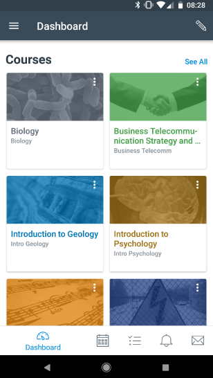 Canvas LMS : precios, funciones y opiniones